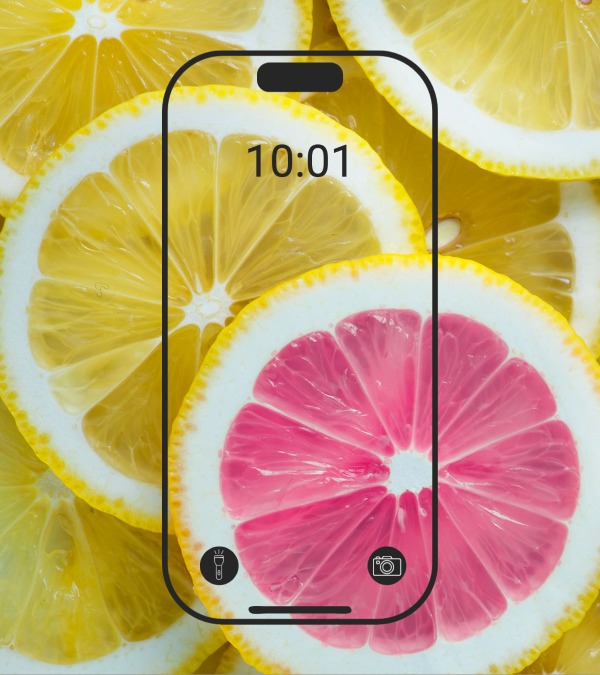 Kartik - Creative Web/Mobile Application Developer