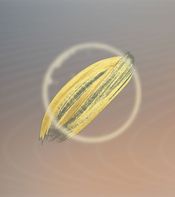 Kartik - Creative Web/Mobile Application Developer